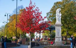 Hotels in Cannock | Premier Inn Cannock | Book Direct