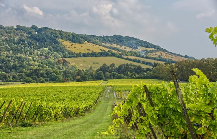 Surrey Hotels | Premier Inn Surrey Hotels | Book Direct